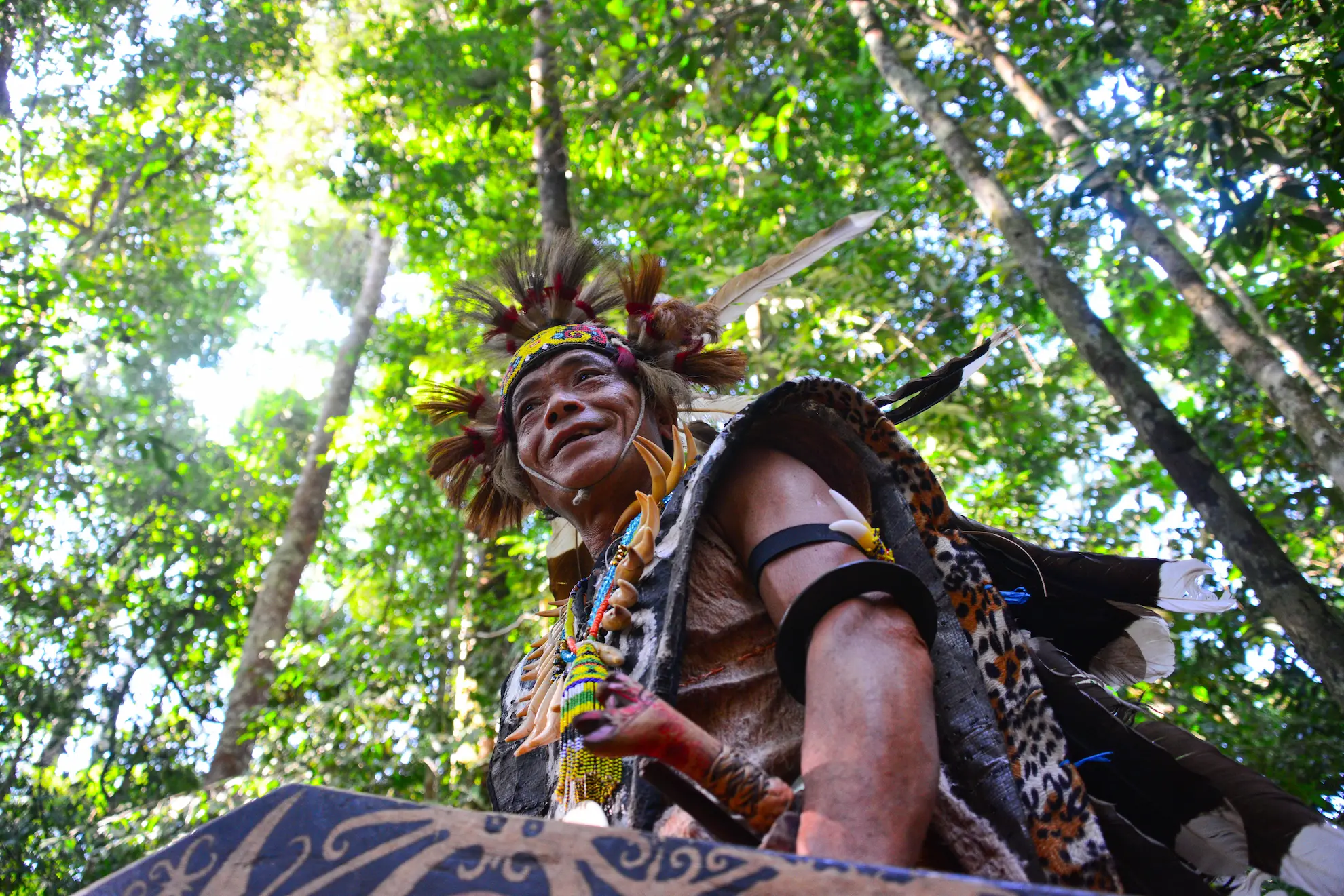 NORTH KALIMANTAN: Into the heart of the Borneo Rainforest - Cultural ...